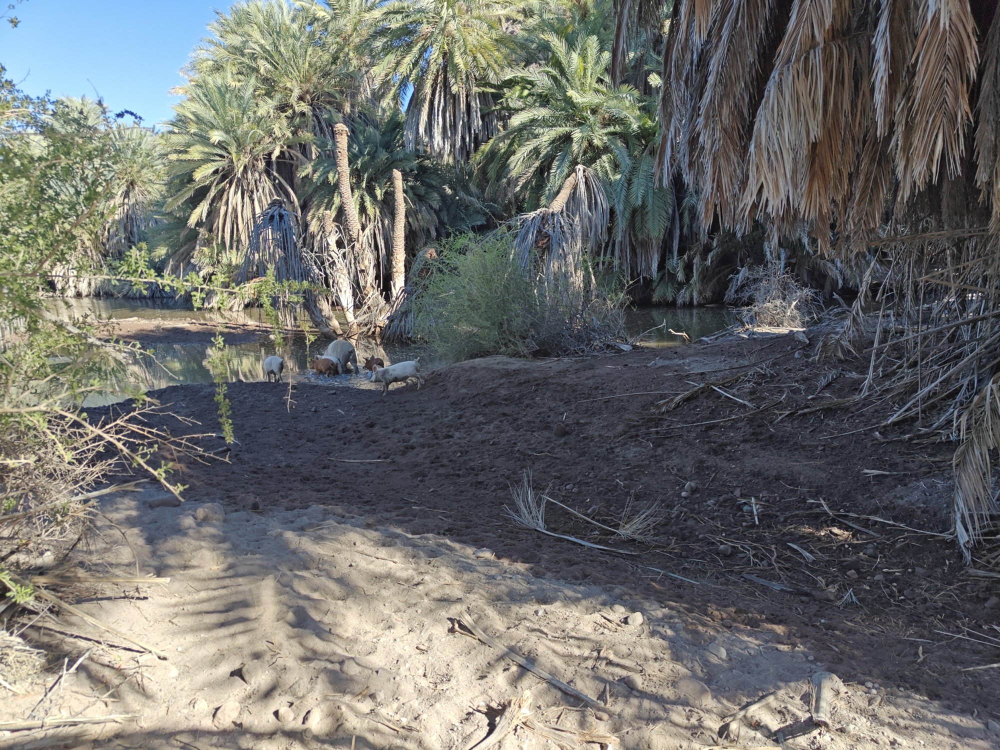 Stretching our legs in Agua Verde - Strikhedonia